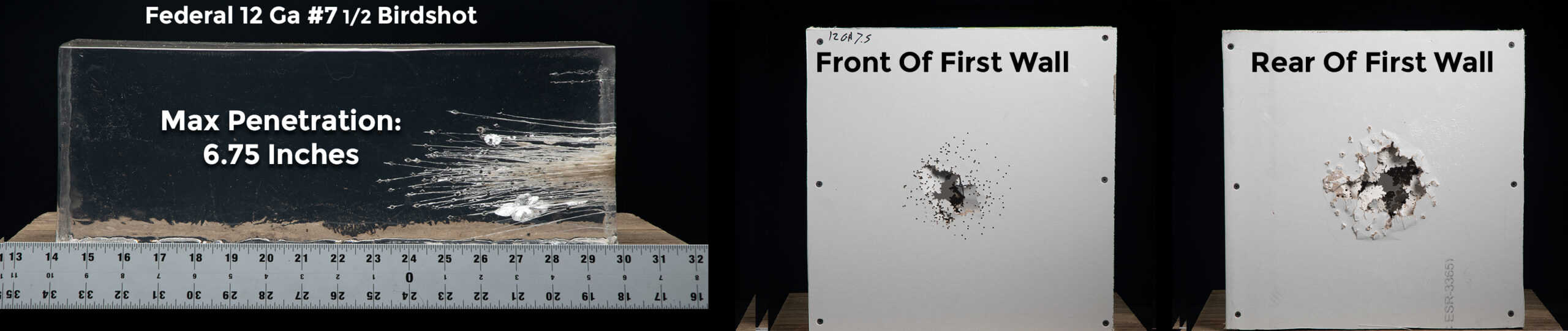 Home Defense Shotgun Ammo Test - AmmoMan School of Guns Blog