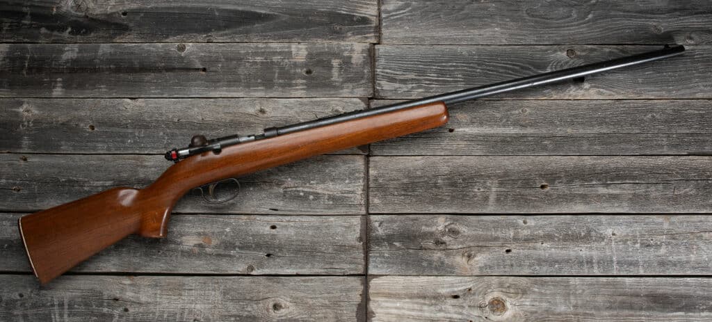 What Is The Best First Rifle? - AmmoMan School of Guns Blog