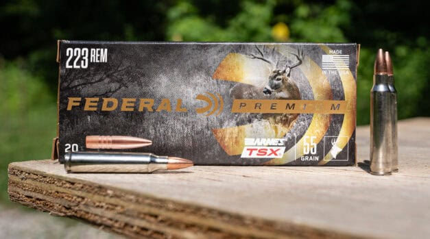 What Can You Hunt With 223 Ammo?