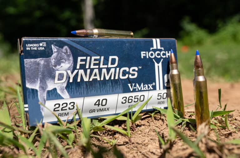 What Can You Hunt With 223 Ammo?
