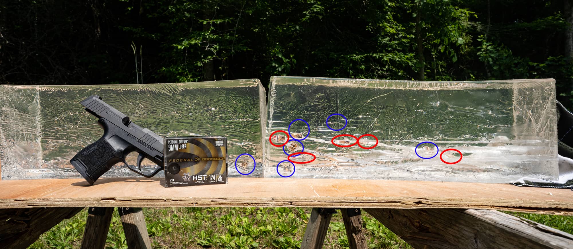 Hornady Critical Defense vs Federal HST - Self-Defense Tests