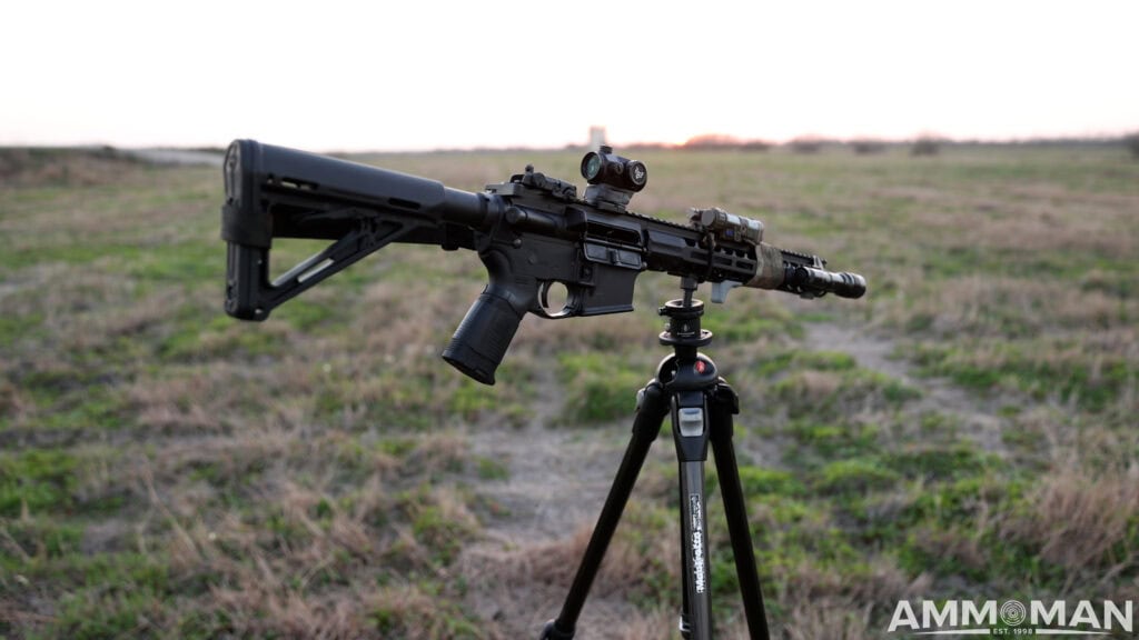 Hog Hunting at Night - AmmoMan School of Guns Blog