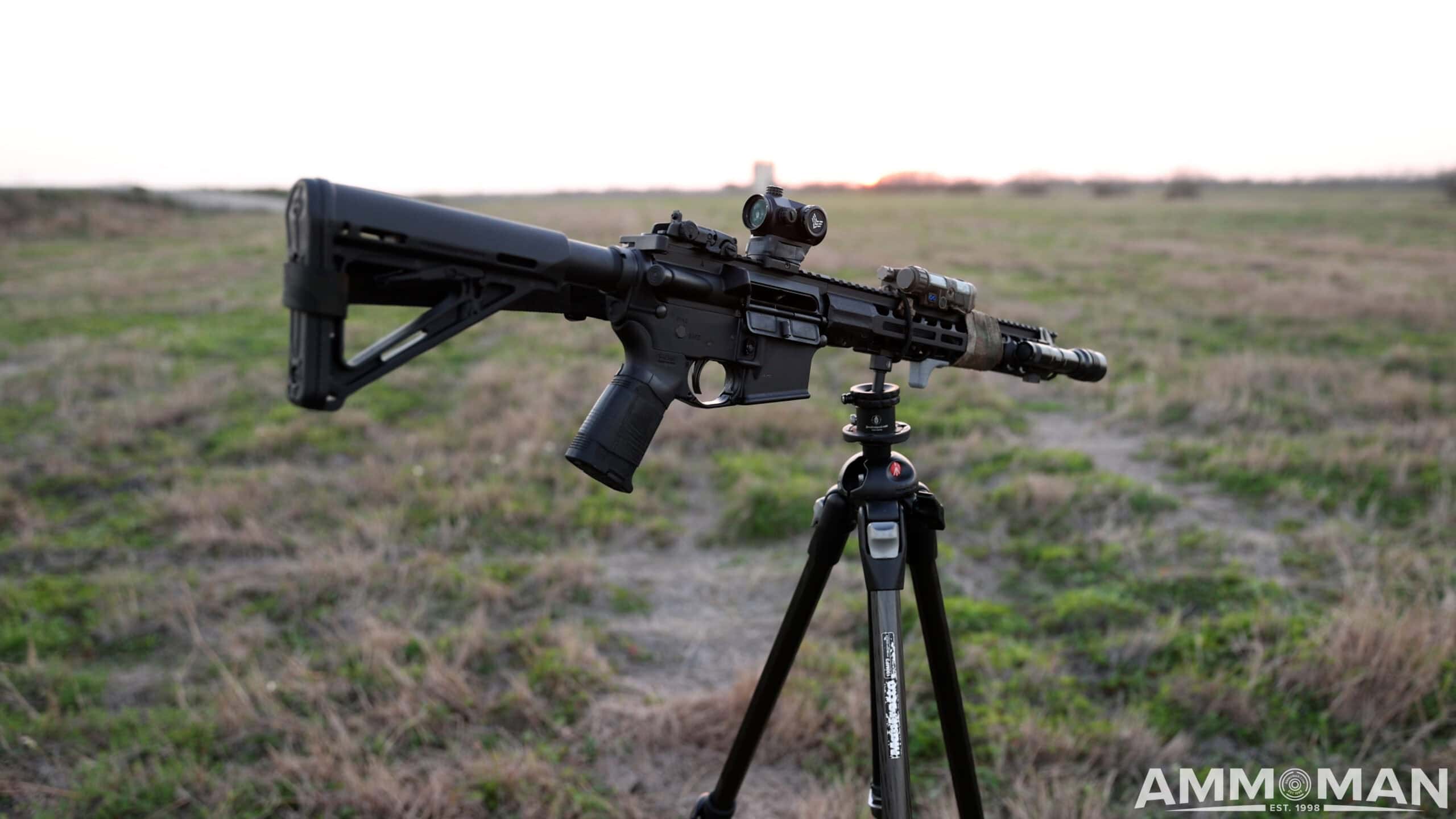 Hog Hunting at Night - AmmoMan School of Guns Blog