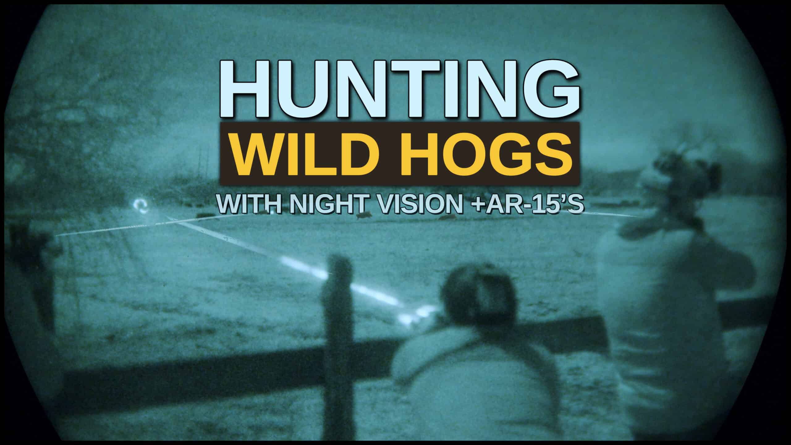 AR-15 Hog Hunting Rifle Setup - AmmoMan School of Guns Blog