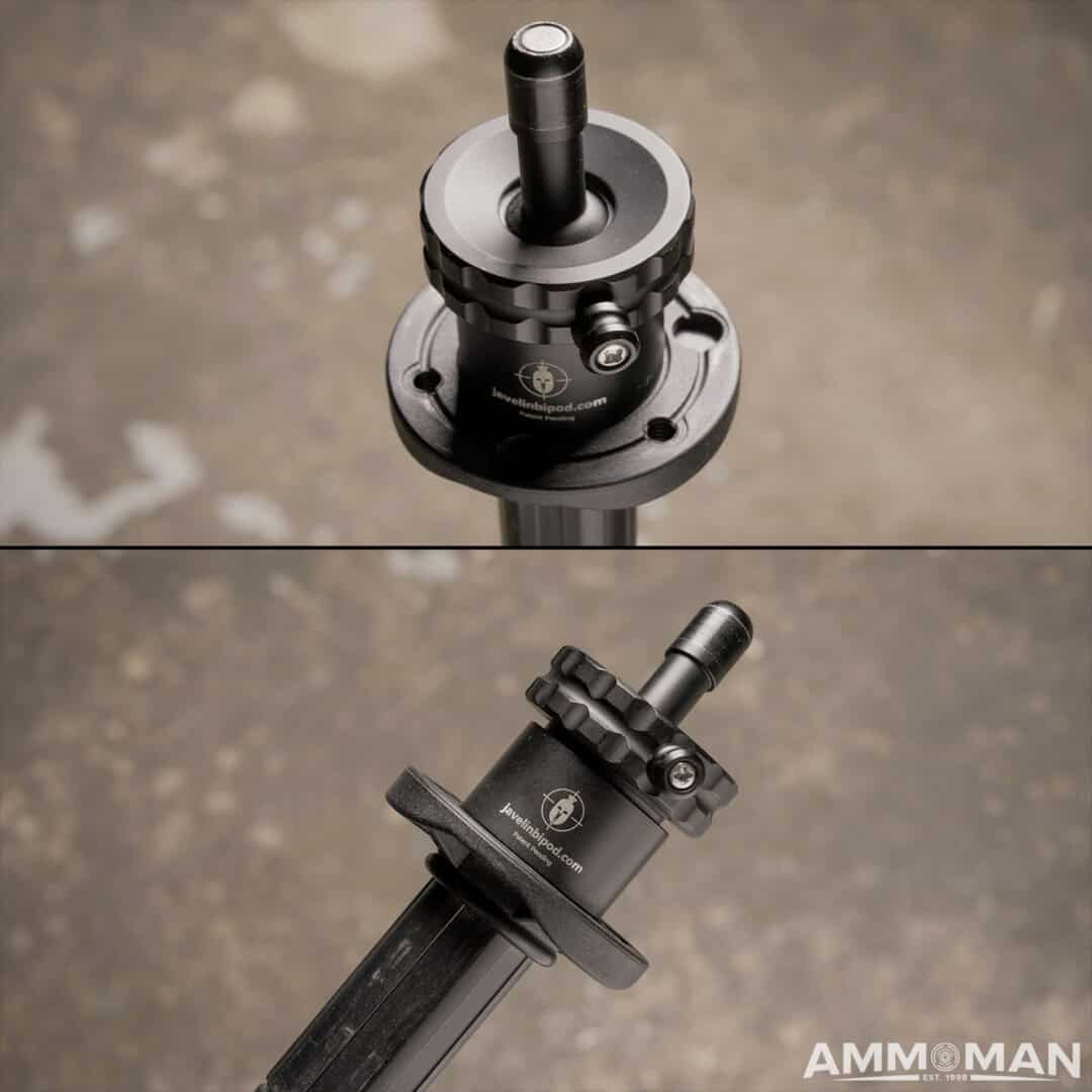 AR-15 Hog Hunting Rifle Setup - AmmoMan School of Guns Blog