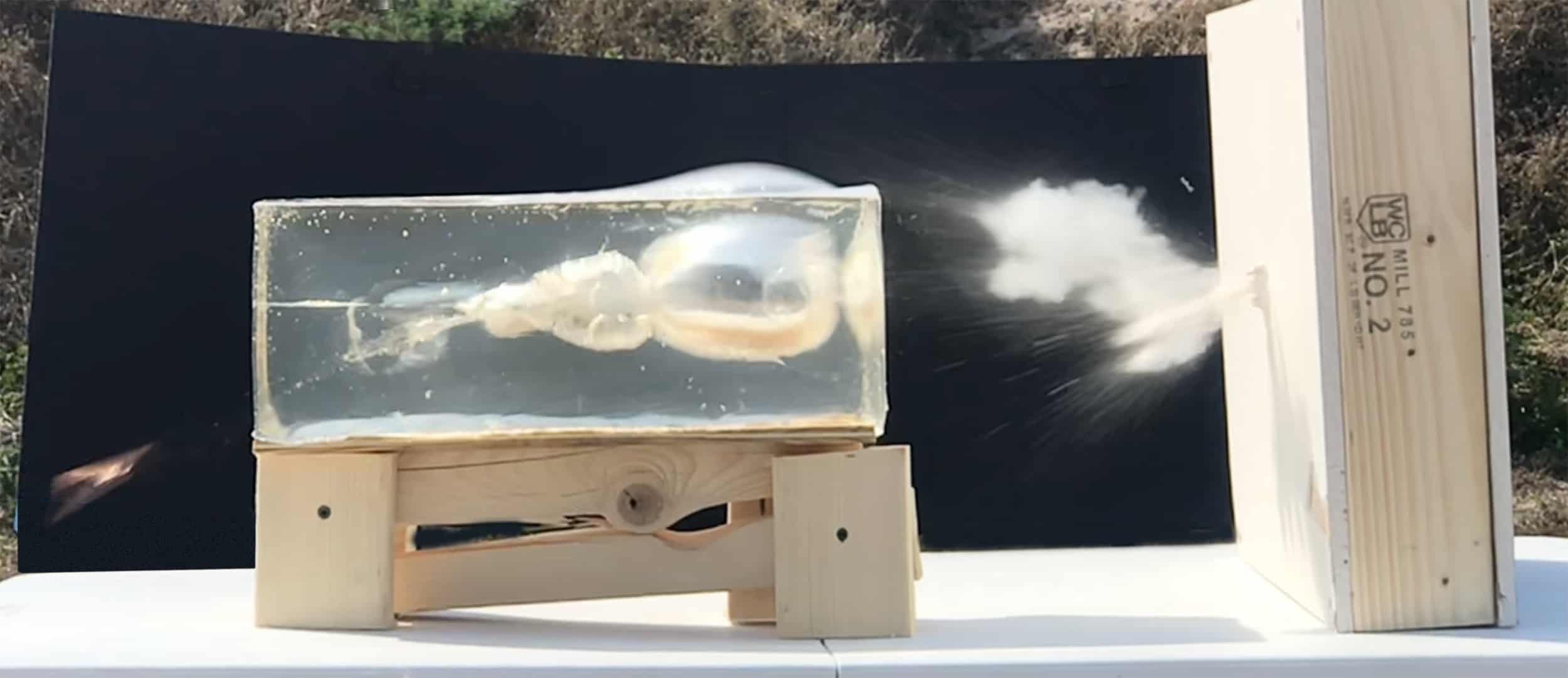 Using 300 Blackout For Home Defense - AmmoMan School of Guns Blog