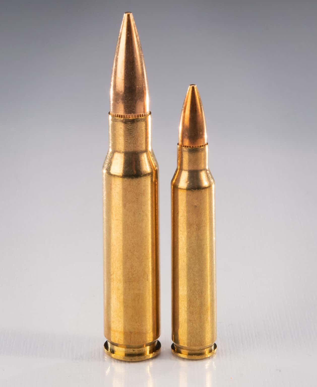 223 vs 308 - Two Sides Of The Same Coin - AmmoMan School of Guns Blog