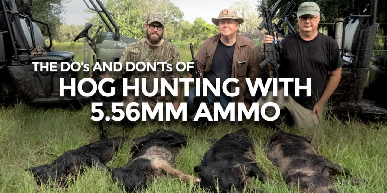 Best 5.56 Ammo for Hog Hunting