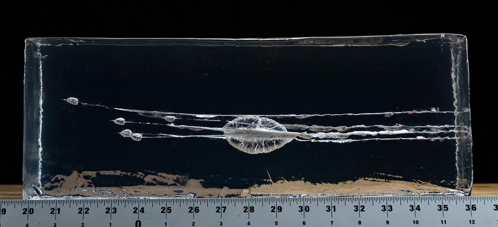 How To Use 22 For Self Defense - AmmoMan School of Guns Blog